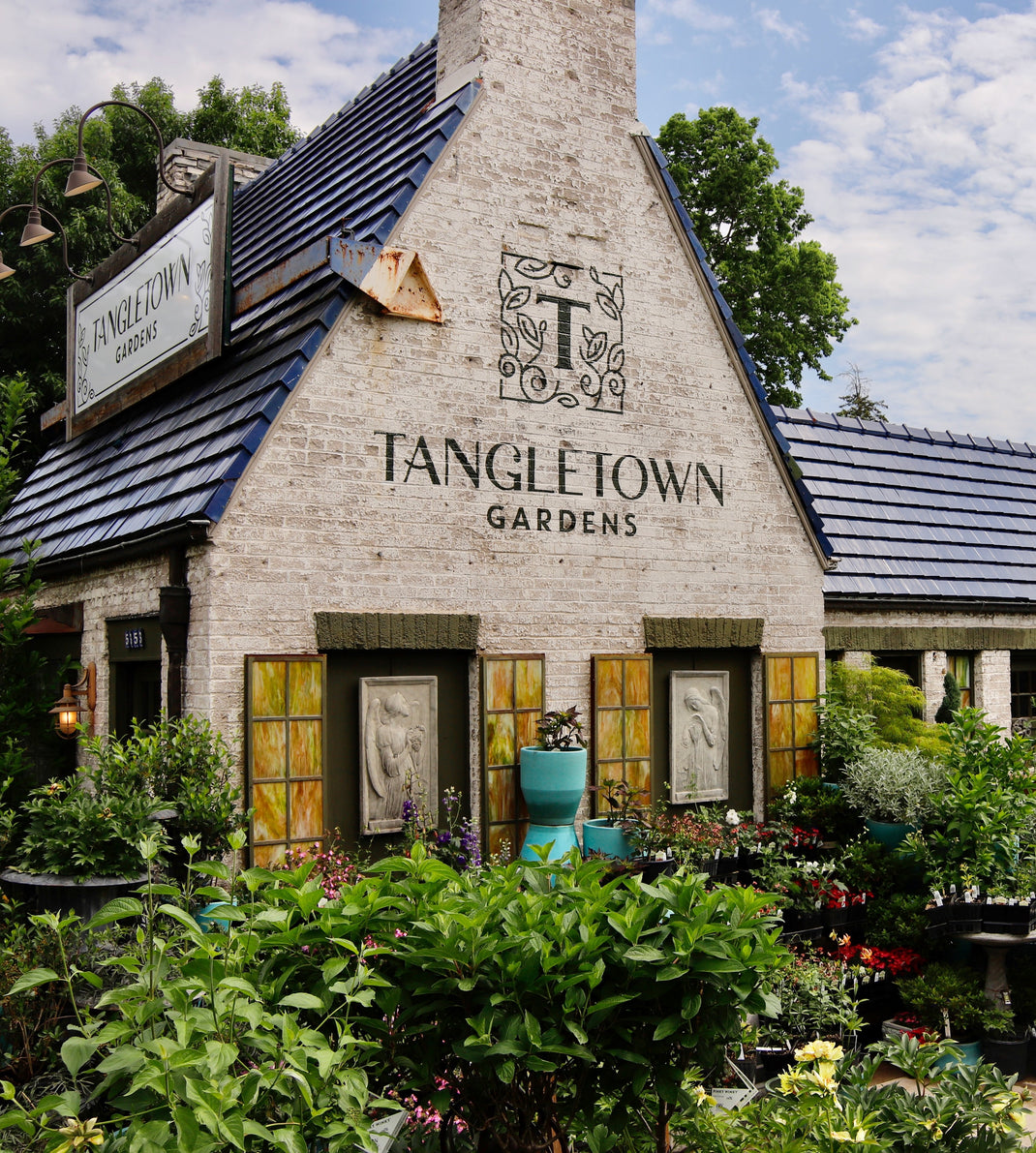 About The Garden Center / Contact Us – Tangletown Gardens